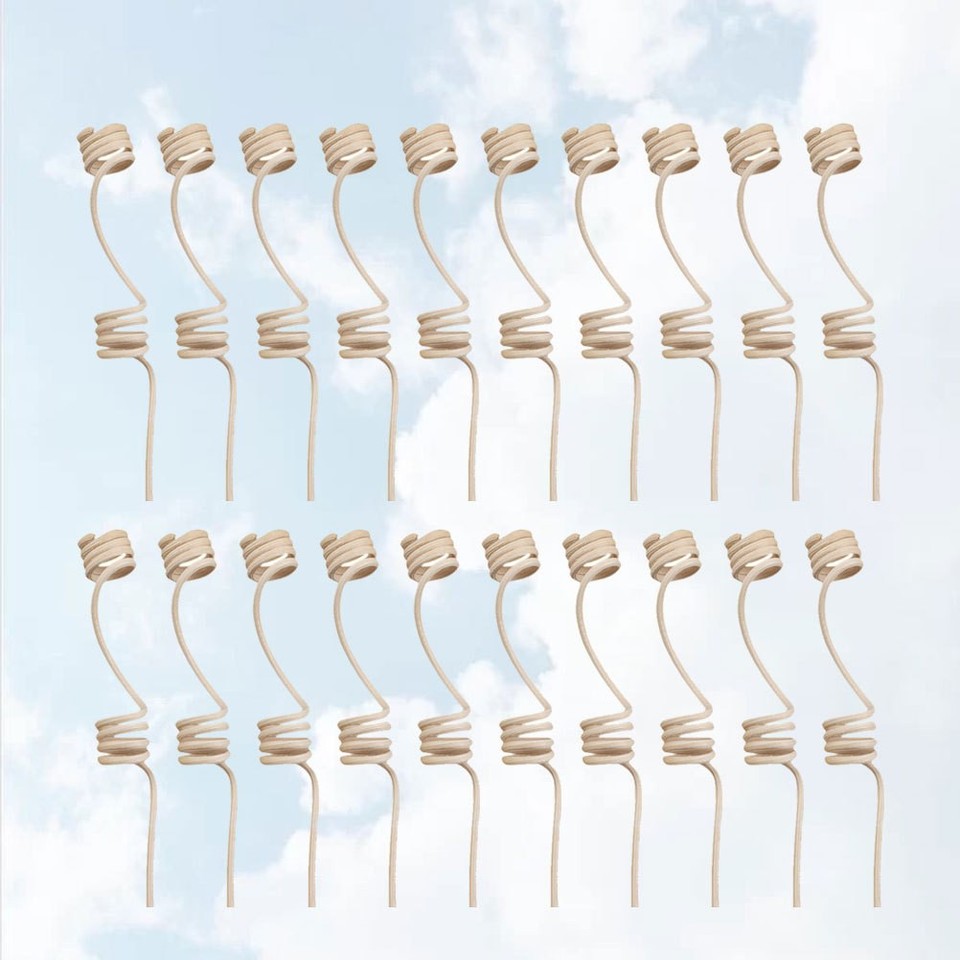 20 Pcs Aromatherapy Rattan Sticks Multifunctional Diffuser Reeds ...
