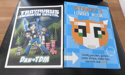 Dan TDM YouTuber & Stampy’s Minecraft Gamer YouTuber Books Gift Great ...