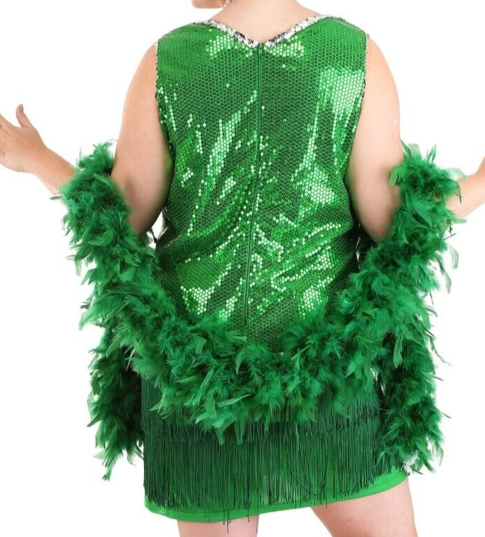 Women's Plus Size Sequin and Fringe Green Flapper Dress Costume SIZE 3X ...