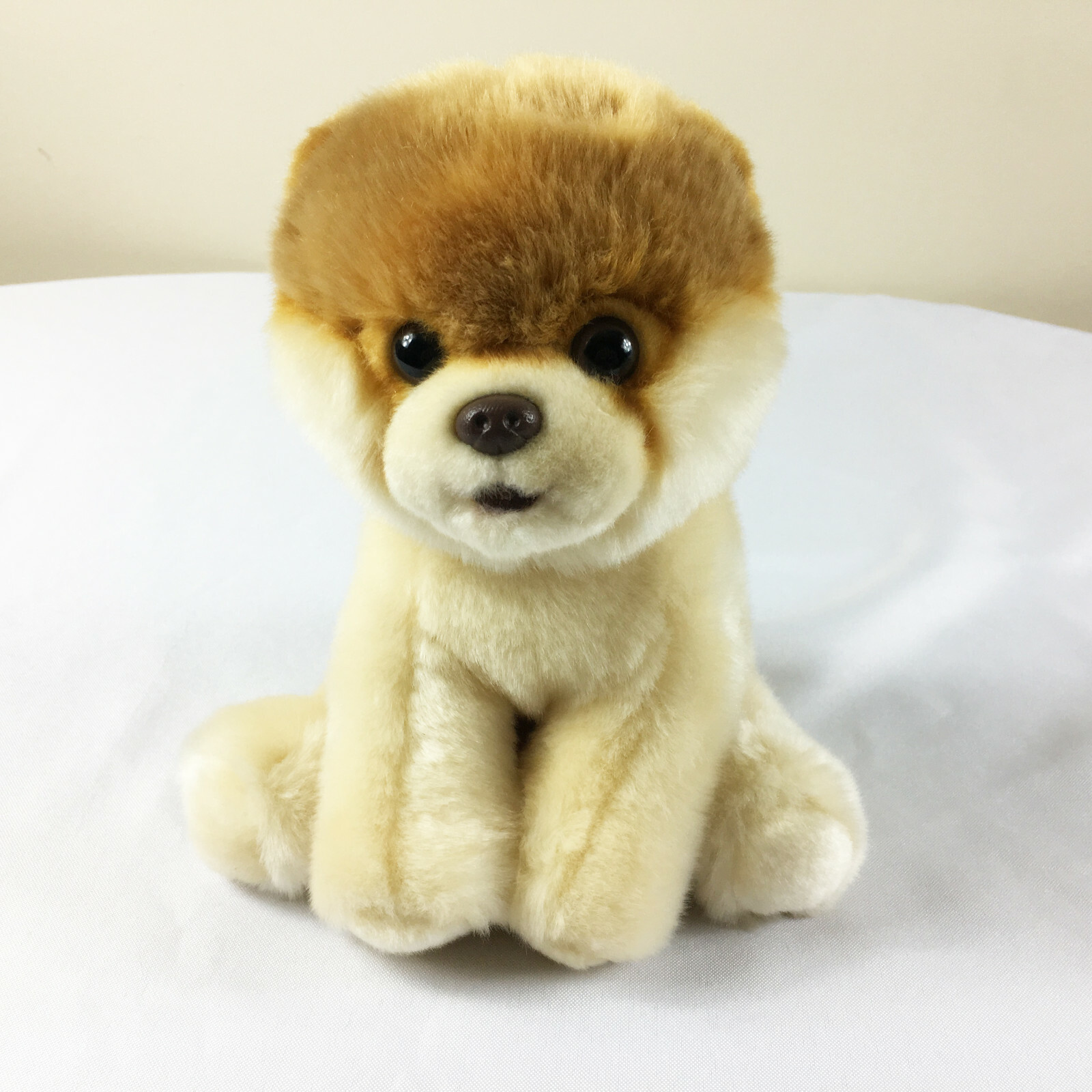 TB3 Gund Worlds Cutest Dog Boo Plush 10" Stuffed Toy Lovey | eBay