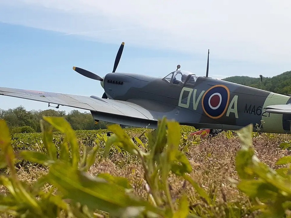 RC Airplane Aircraft Warbird FlightLine Spitfire Mk.IX 1600mm 63 ...