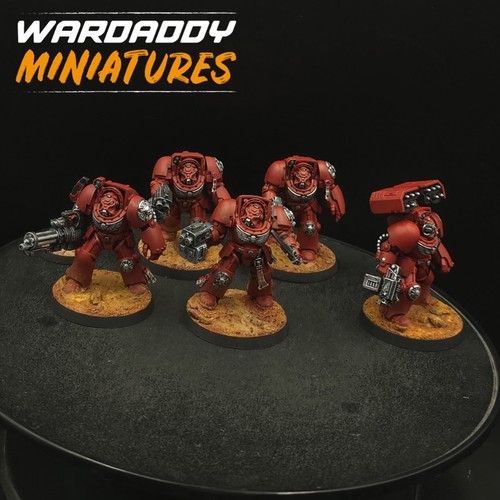 Pro Painted Warhammer 40k Primaris Blood Angels Terminators LG3 Games ...