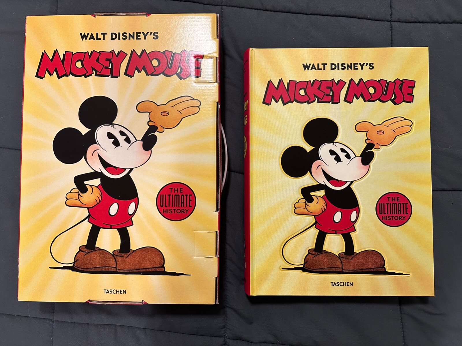 Mickey Mouse History
