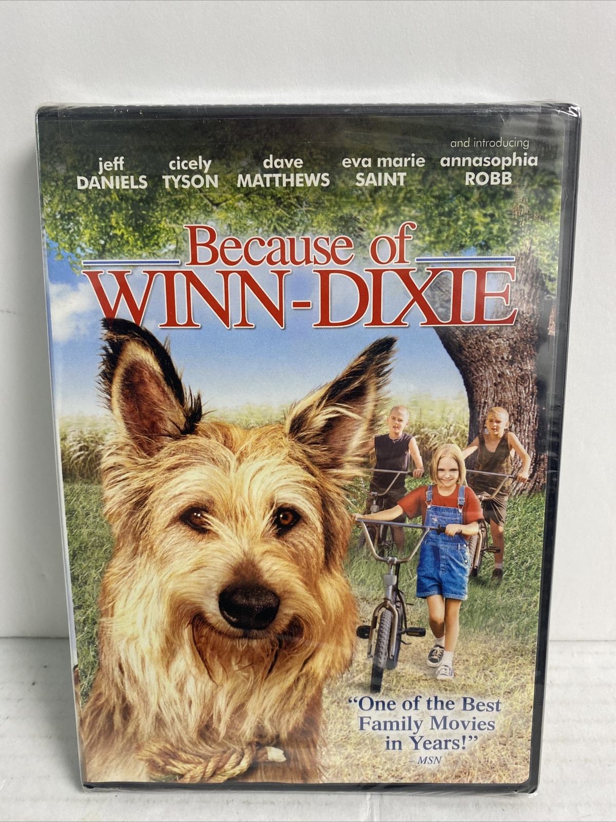 Are Dogs Allowed In Winn Dixie