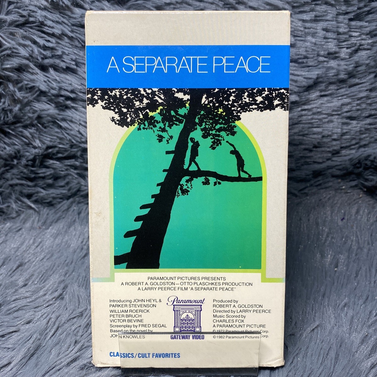 Parker Stevenson A Separate Peace The Hardy Boys/Nancy Drew Mysteries