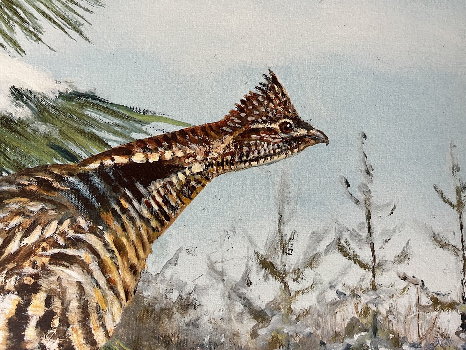 Owen Gromme 1987 Winter Ruffed Grouse 45/850 | eBay