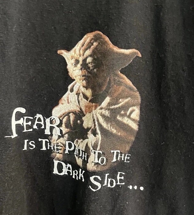 *FLAWED* Vintage Star Wars Fear is the Yoda Path to the Dark Side T ...