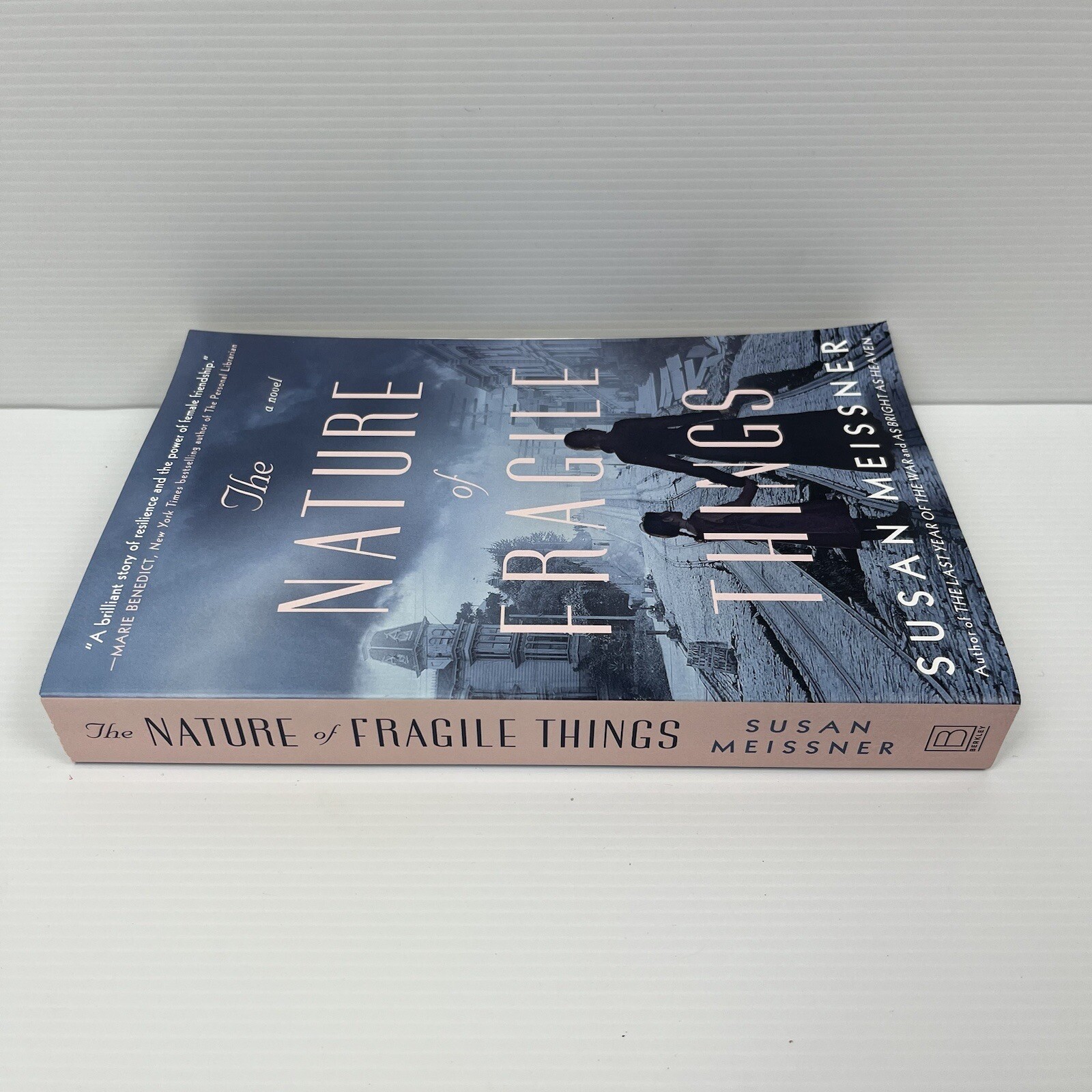 The Nature of Fragile Things by Susan Meissner Trade Paperback | eBay ...