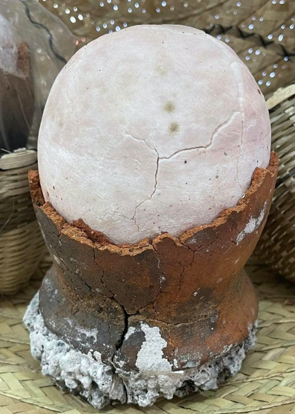 Asin Tibuok Dino Egg Artisanal Sea Salt Rarest Salt in the World (Big ...