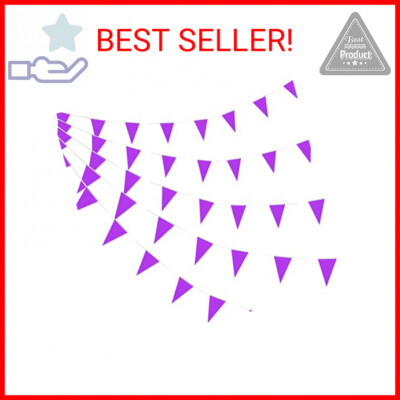Consummate Purple Pennant Banners Flags String Hanging Triangle Bunting ...