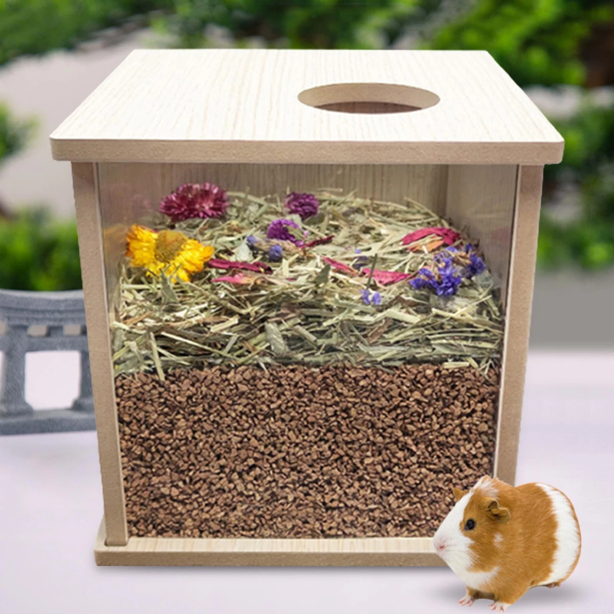 Diy Dwarf Hamster Cages