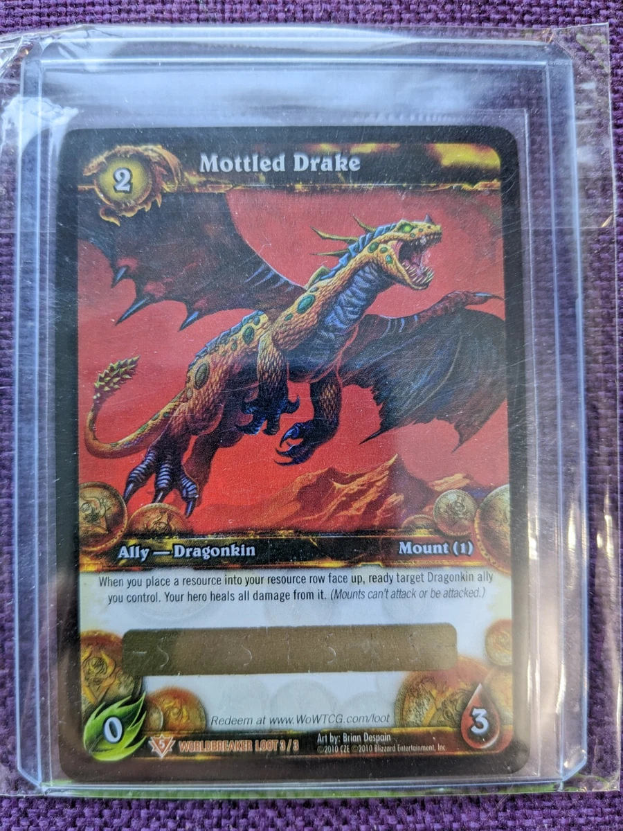Mottled Drake