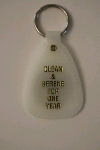 NA NARCOTICS ANONYMOUS KEYTAG CLEAN TIME - ONE YEAR - GLOWS IN THE DARK ...