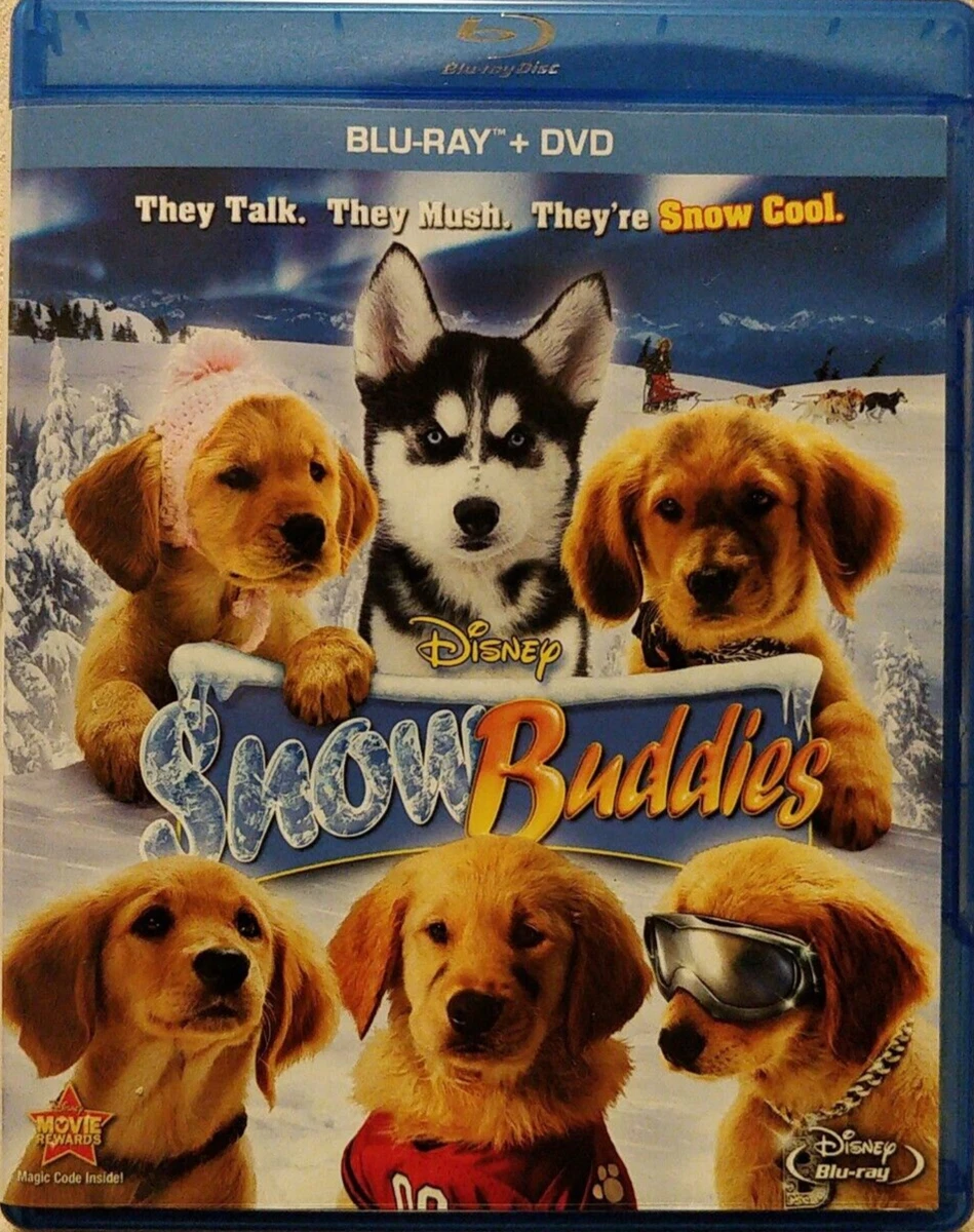 Snow Buddies Shasta