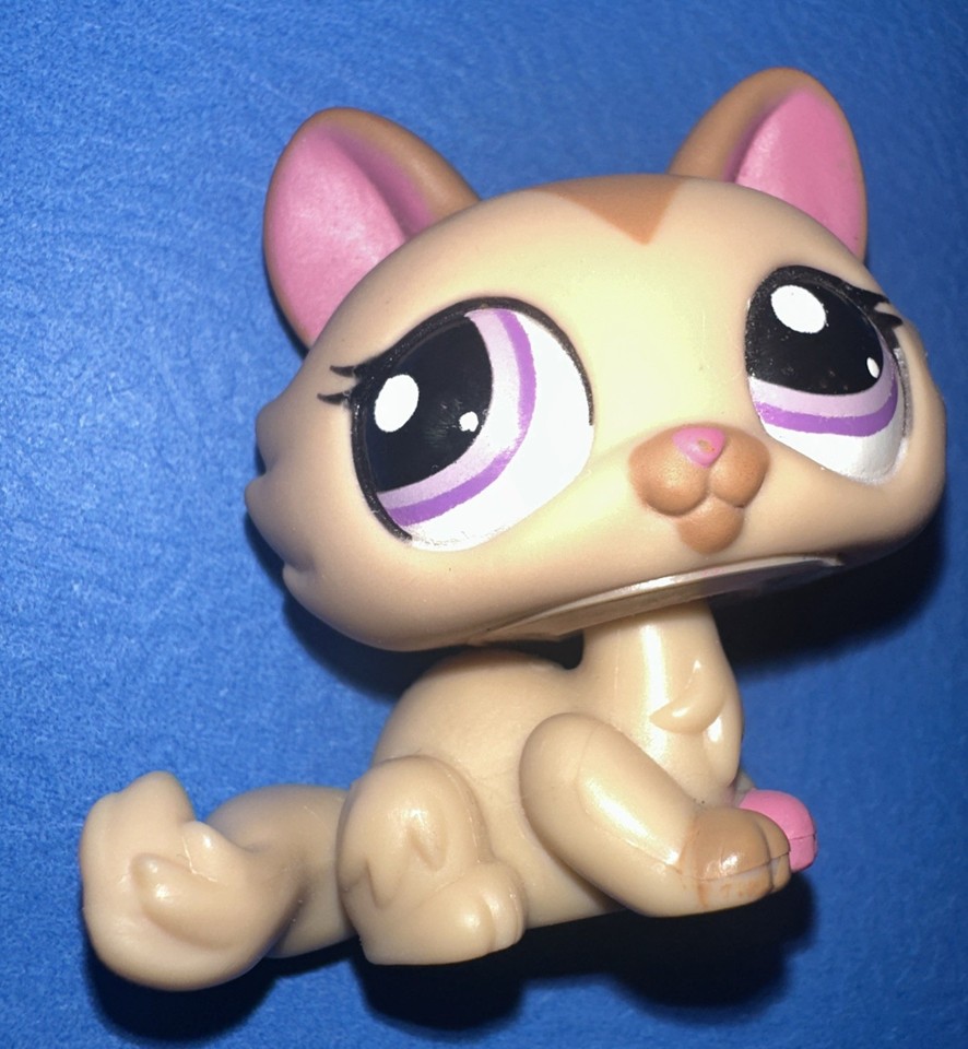 Lot of 5 Littlest Pet Shop LPS Cats #878 #1503 #339 #1584 #1090 | eBay