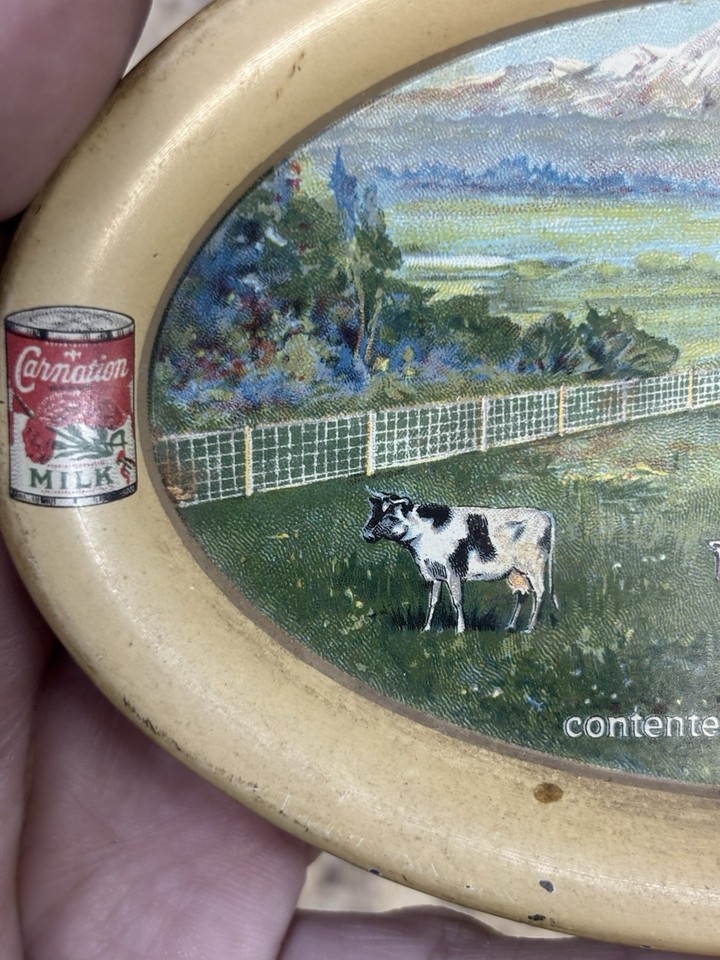 ANTIQUE CARNATION CONDENSED MILK TIN LITHO TIP TRAY SIGN HOLSTEIN DAIRY ...