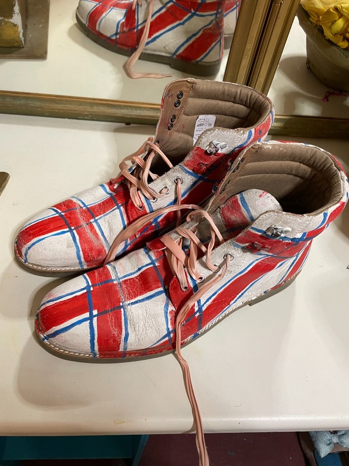 Pantomime Dame Checked Red and Blue Dress Costume with Wig and Shoes ...