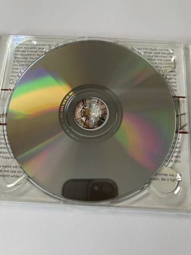 Another World - Southern Raised - CD Album 12 Tracks 2017 Slow Town ...