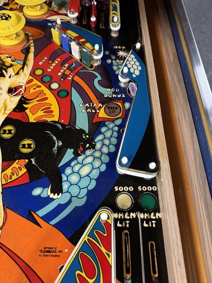 1980 GOTTLIEB PANTHERA PINBALL MACHINE PROFESSIONAL TECHS 8 DROP ...