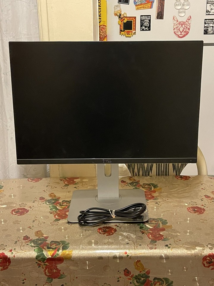 DELL UltraSharp U2415 24in Widescreen IPS LCD Monitor TESTED WORKS w ...