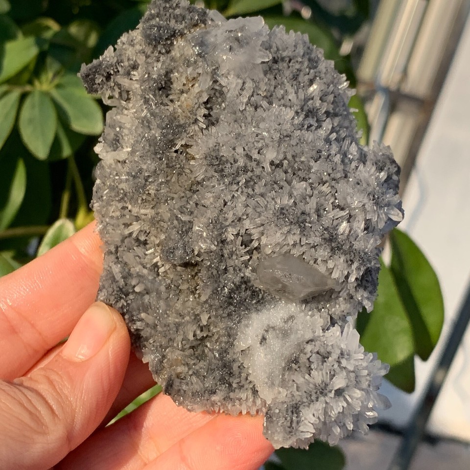 198g Natural chrysanthemum stone quartz crystal cluster mineral ...