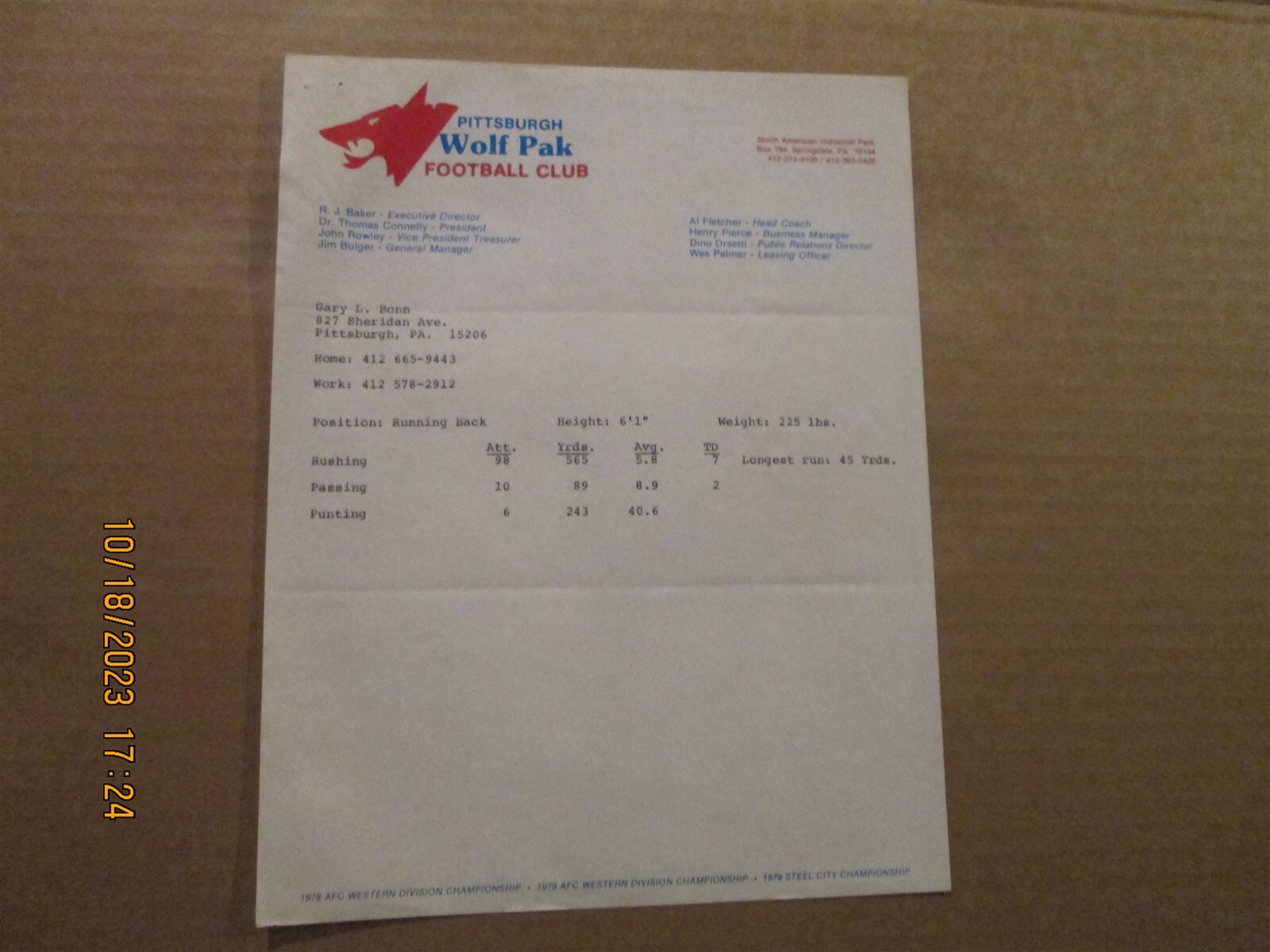 MAFL Pittsburgh Wolfpack Football Club Vintage Team Logo Football ...