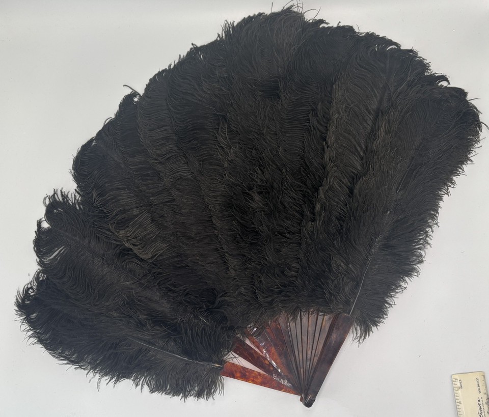 Early 1900s Antique Black Ostrich Feather Hand Fan - Victorian Mourning ...