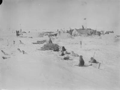 Ocean Camp Possibly Patience Camp? Antarctica early 1900s Old Photo | eBay