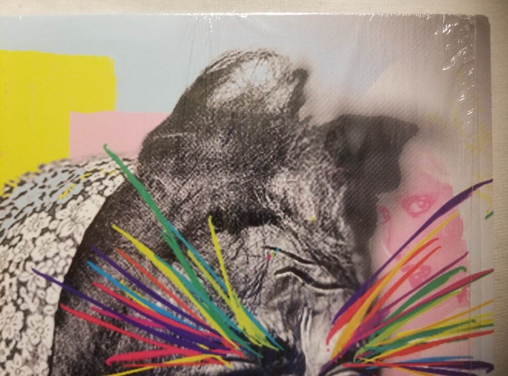 Josh Freese Autographed Just A Minute Volume 1 Vinyl LP | eBay