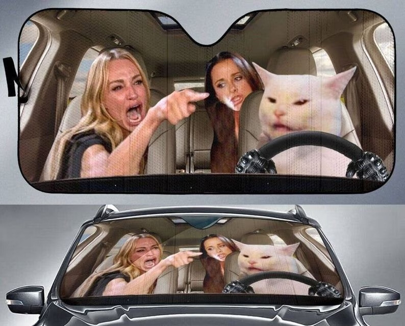 Funny Cats Driving Cars