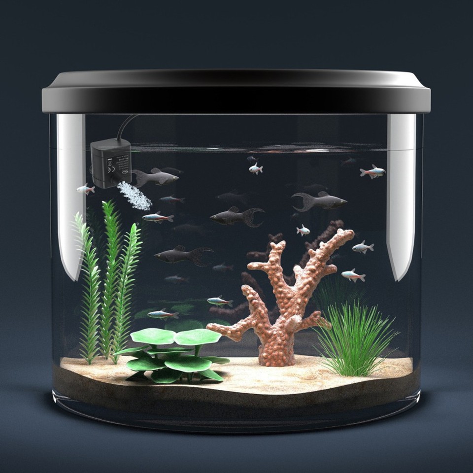 Submersible Pet Fountain Pump Plastic Copper Magnet Materials | eBay UK