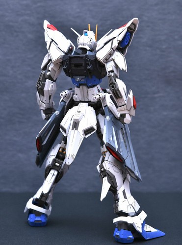 for MG 1/100 Freedom ver 2.0 Recast Infinite Dimension Resin Dress up Kit | eBay