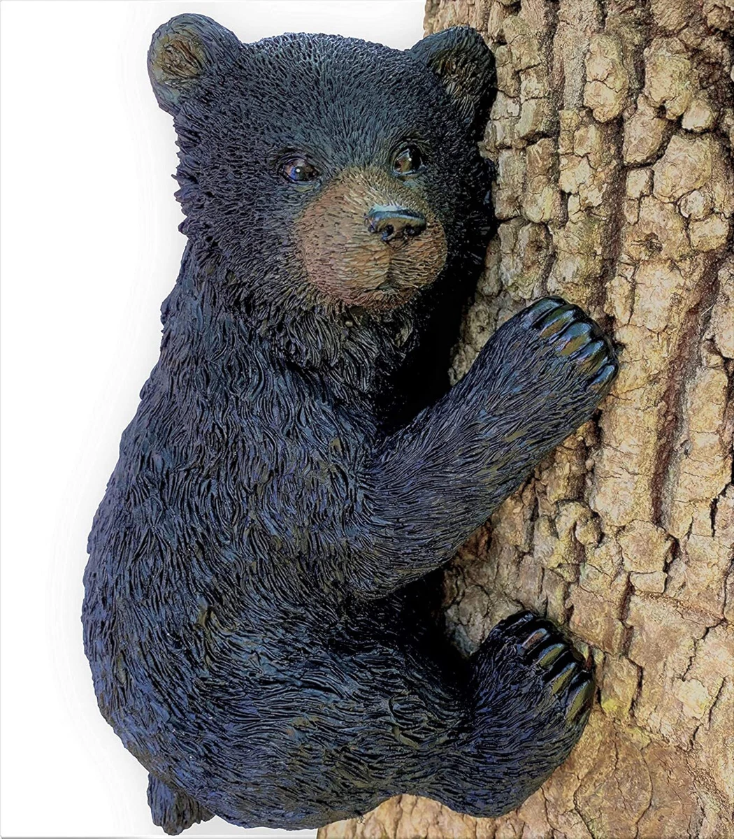 Baby Bear In Tree