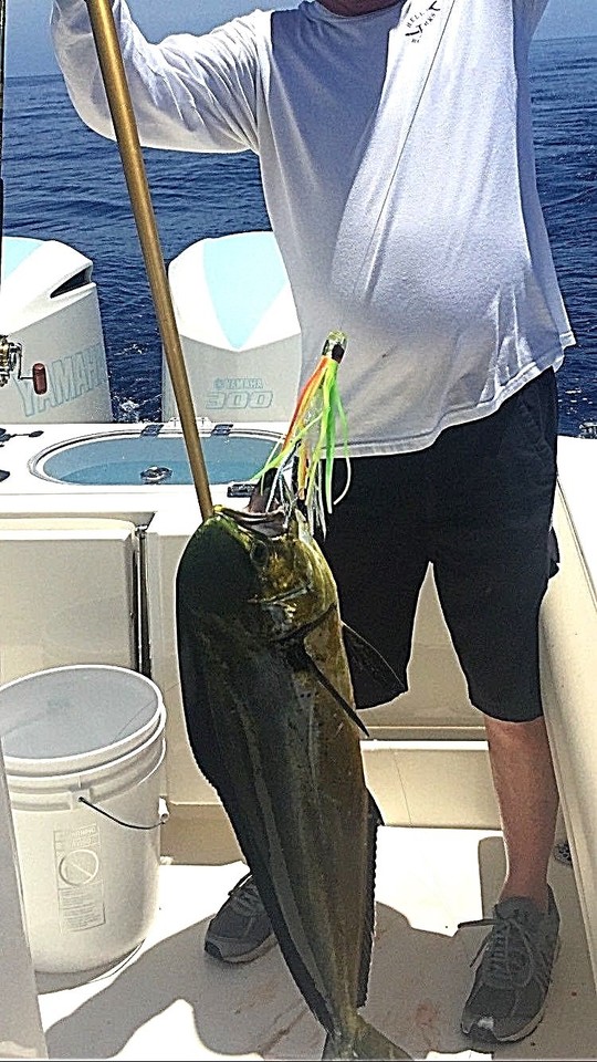 SALTWATER TROLLING LURE SET TUNA MAHI DOLPHIN DURADO WAHOO MARLIN | eBay