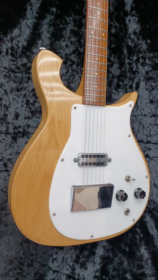 Rickenbacker 425 Electric Guitar Vintage Model JP | eBay