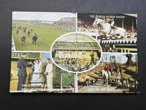 Postcard The Famous Irish Sweep Drum Irish Hospital Sweepstakes Horse ...