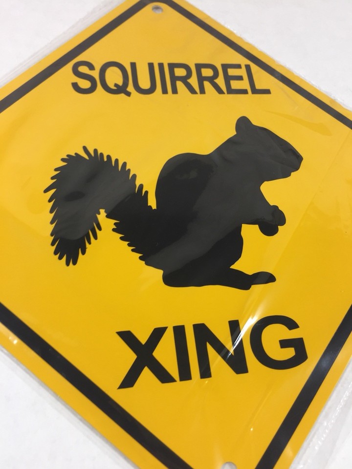 Squirrel Xing Metal Crossing Sign 6"x6" (NEW) Squirrels | eBay