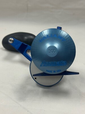 Accurate Valiant 300 BV-300-CC Custom Color 19599 | eBay