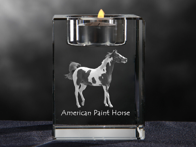 American Paint Horse - Candle Holder With Picture One Horse, Tea Light ...