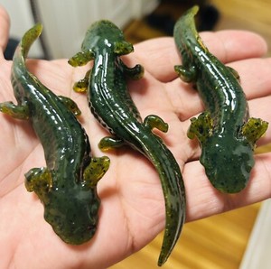 Brainsbaits | eBay Stores