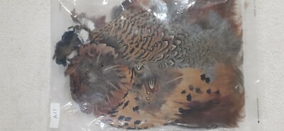 Feathers - Fly Tying Skins