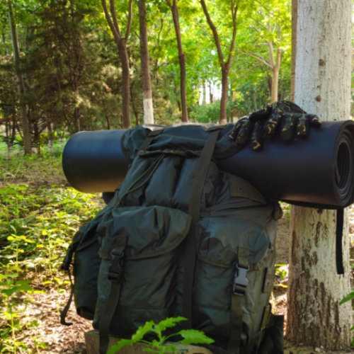 ALICE PACK With Frame Carrying System Outer Frame Tactical LC-1 ALICE ...