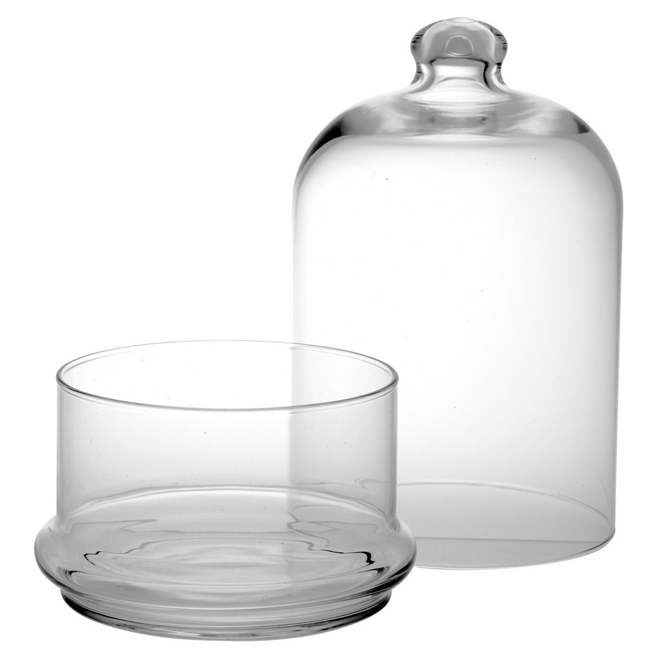 2 x Cloche Glass Dome Jar Bell Pastry 20cm Decorative Stand Food Plant ...