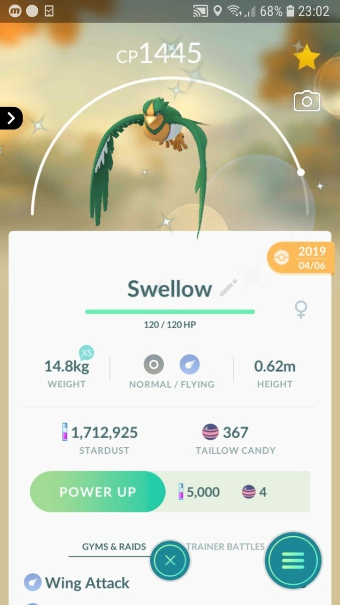 Evolucao Do Pokemon Taillow Taillow (EX Dragon 76) Bulbapedia, The