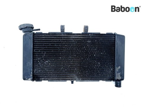 Radiator Honda NC 750 X 2014-2015 DCT (NC750XD) | eBay
