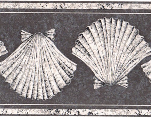 Black and White Grey Sea Shell Seashell Textured Wall paper Border ...