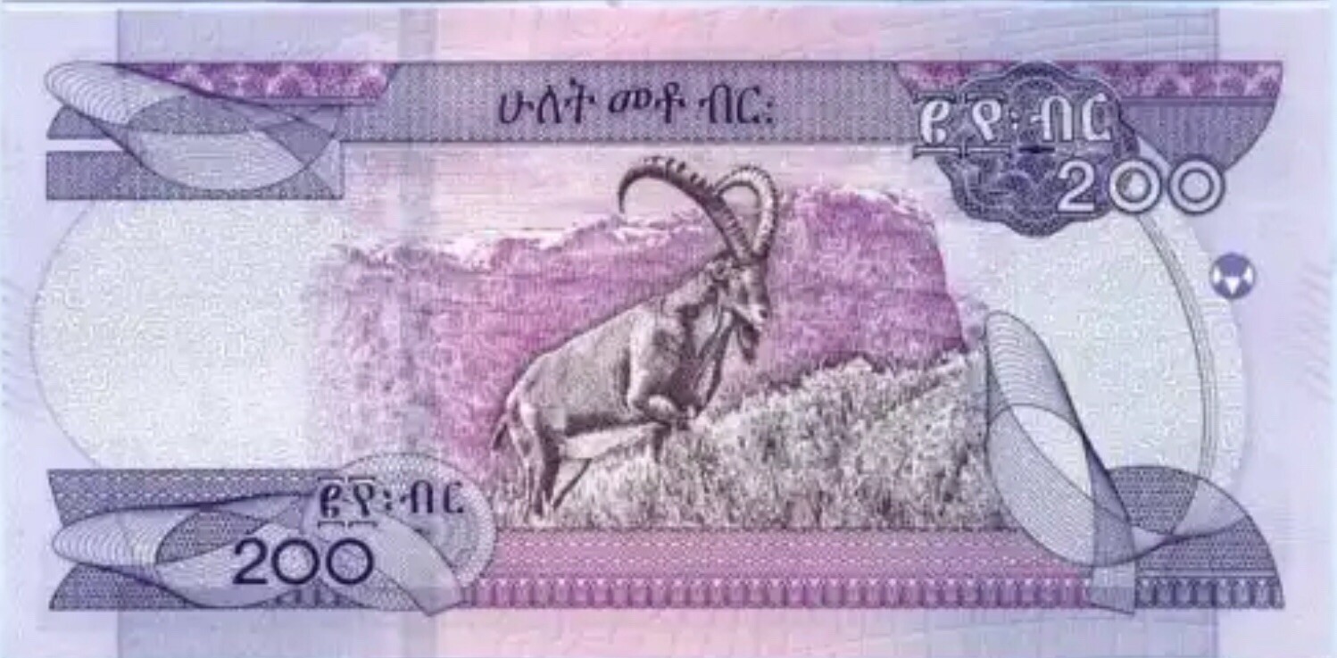 Banknote Ethiopia 200 Birr 2020 UNC Peace Dove. Ethiopian Birr Currency ...