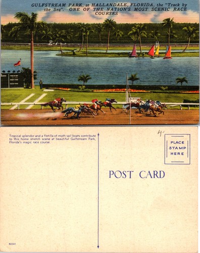 Gulfstream Park Hallandale Florida Horse Racing Postcard | eBay