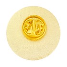 PinMart's Radiologic Technologist Caduceus Medical Lapel Pin | eBay