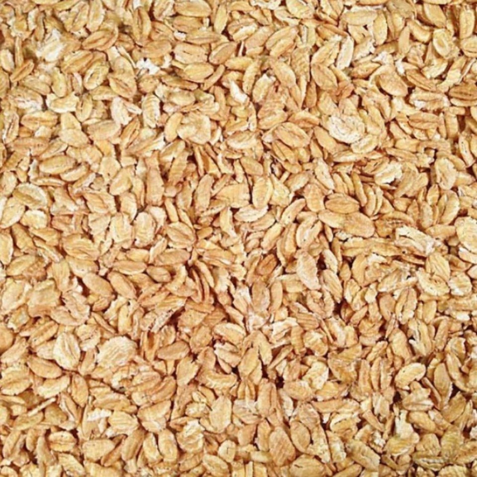 Organic Rolled Kamut Khorasan Wheat | 25 lb | Non-GMO | Grain Place ...